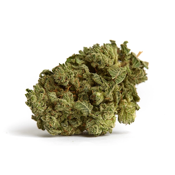 Blue Dream Strain, 26.8% THCa Flower - Ounce of Hope