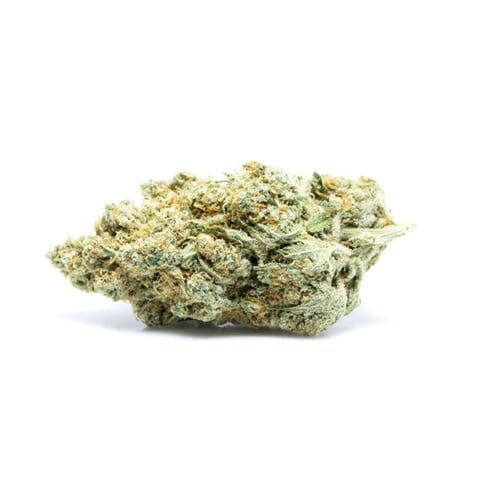White Truffle Strain, 28.3% THCa Flower - Ounce of Hope